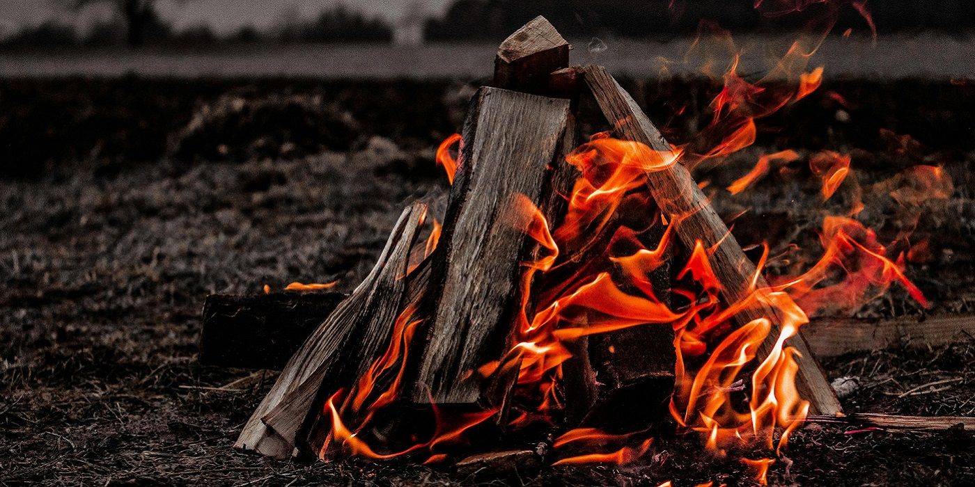 A Complete Guide to Safely Burning Tree Branches