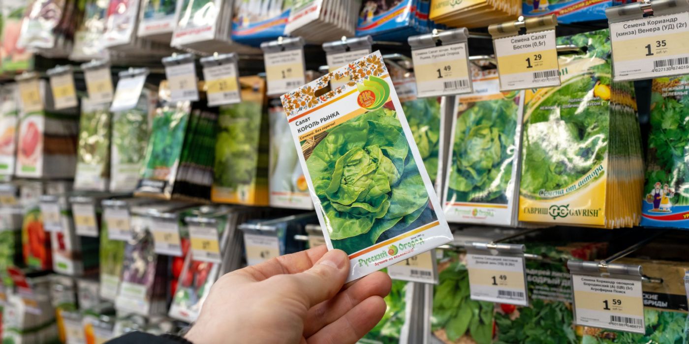 The Winter Gardener's Guide to Seed Shopping