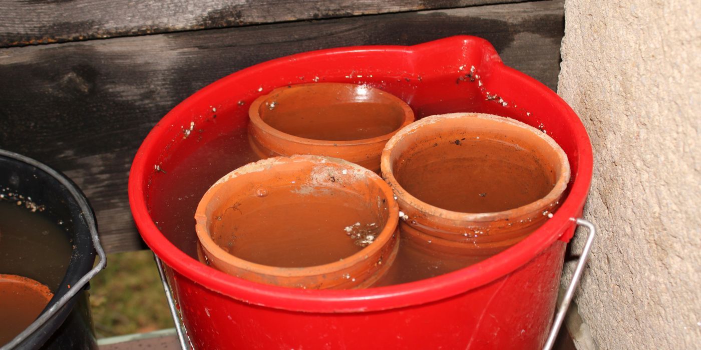 Clean Your Garden Pots the Right Way