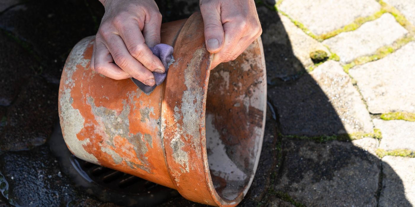 Clean Your Garden Pots the Right Way