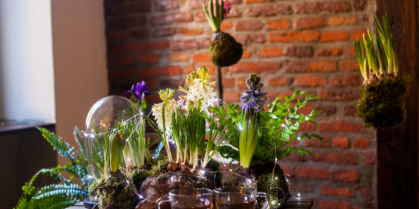 When is the Best Time to Buy Bulbs for Your Spring, Summer, and Fall ...