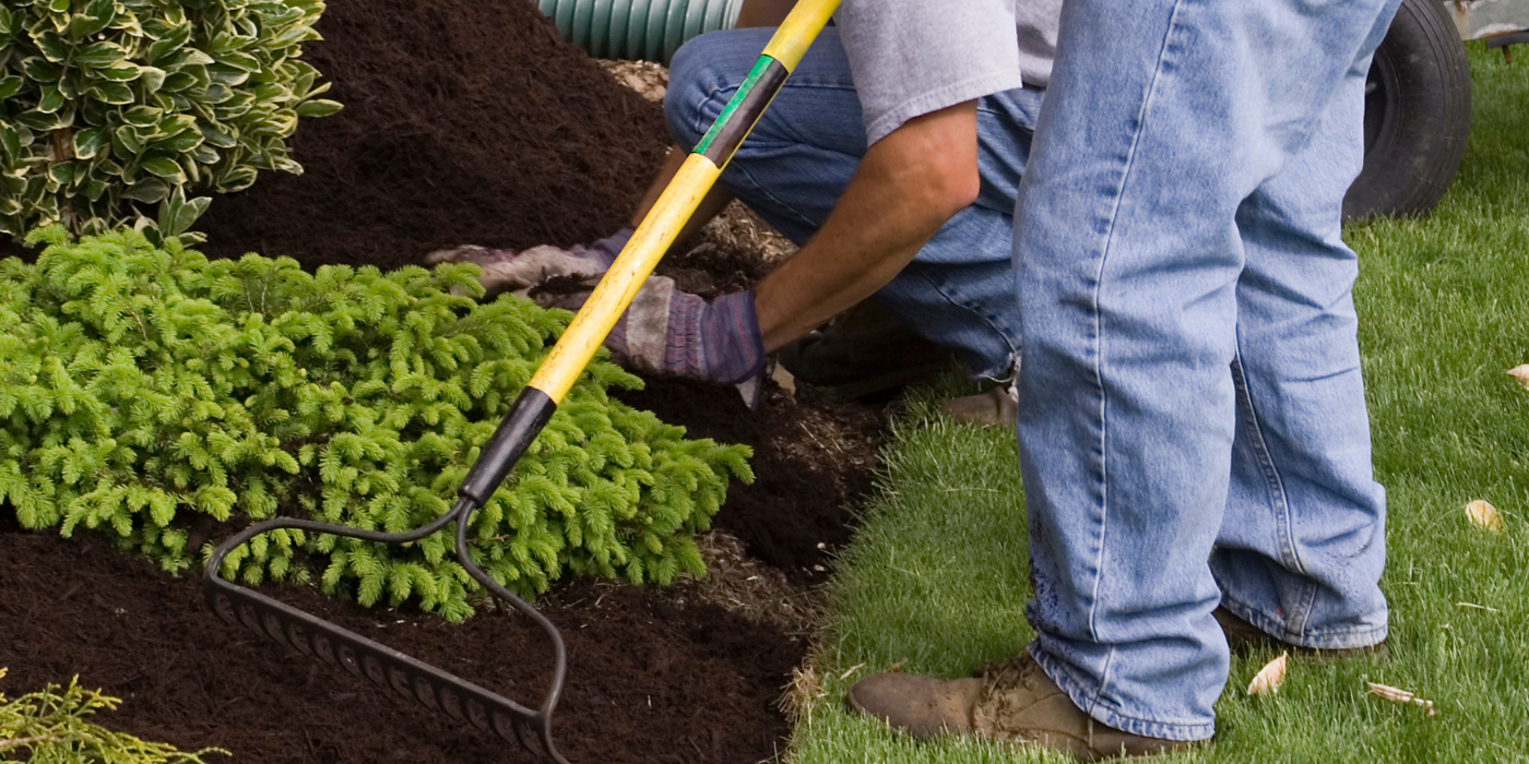 What is Mulch and Why Remove it in March?