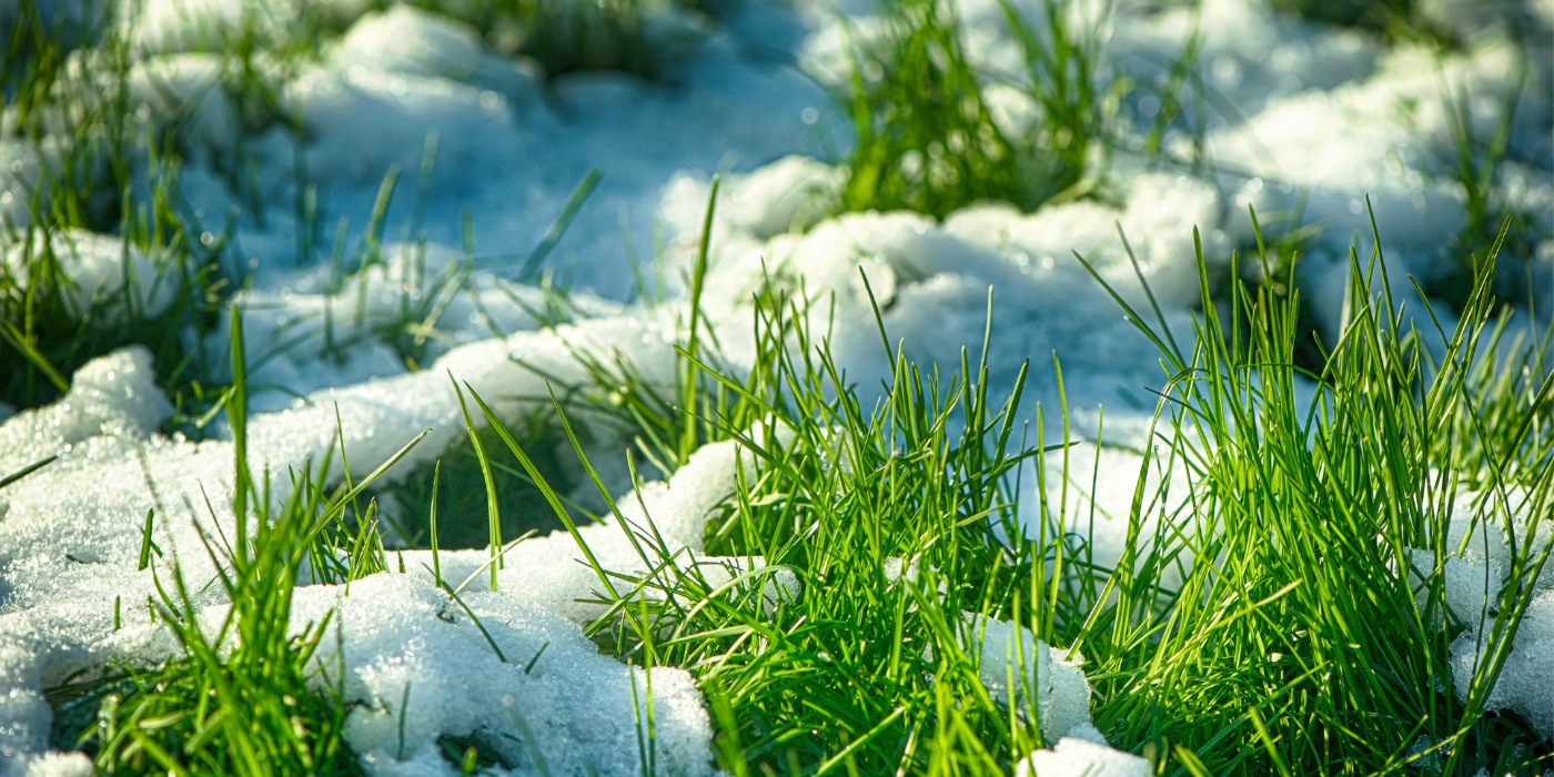When to Start Mowing Grass: A Complete Lawn Care Guide for March