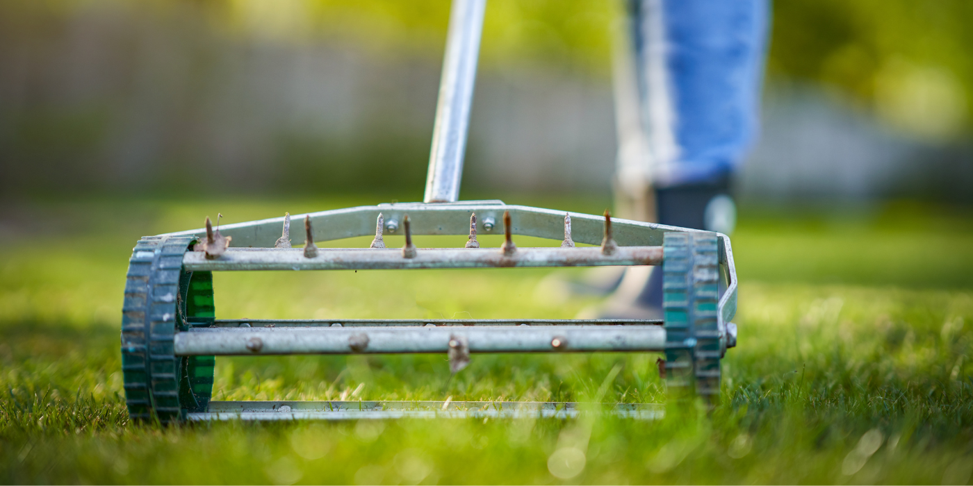 When to Dethatch Lawns in Early Spring