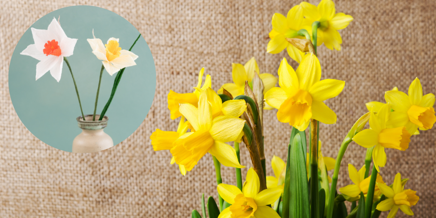 5 Real and DIY Flower Ideas for Winter Flower Arrangements