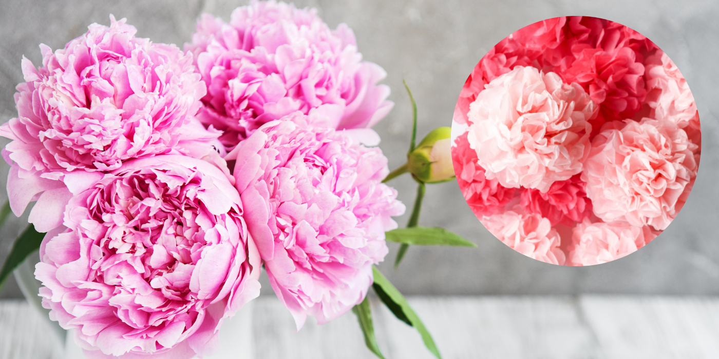 5 Real and DIY Flower Ideas for Winter Flower Arrangements