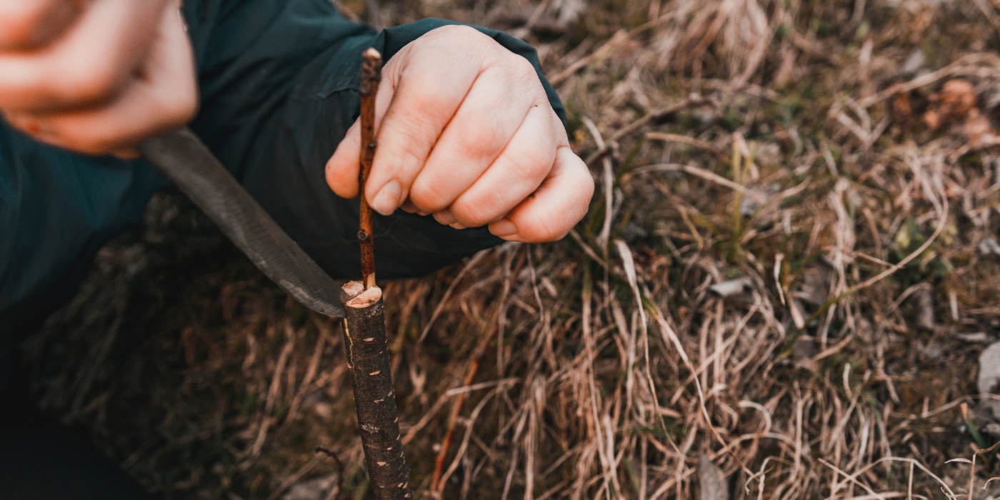 Become a Grafting Expert: How to Do It Like a Pro