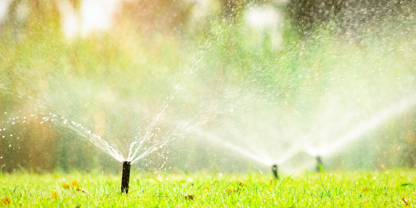 Essential Tips for Watering Your Yard