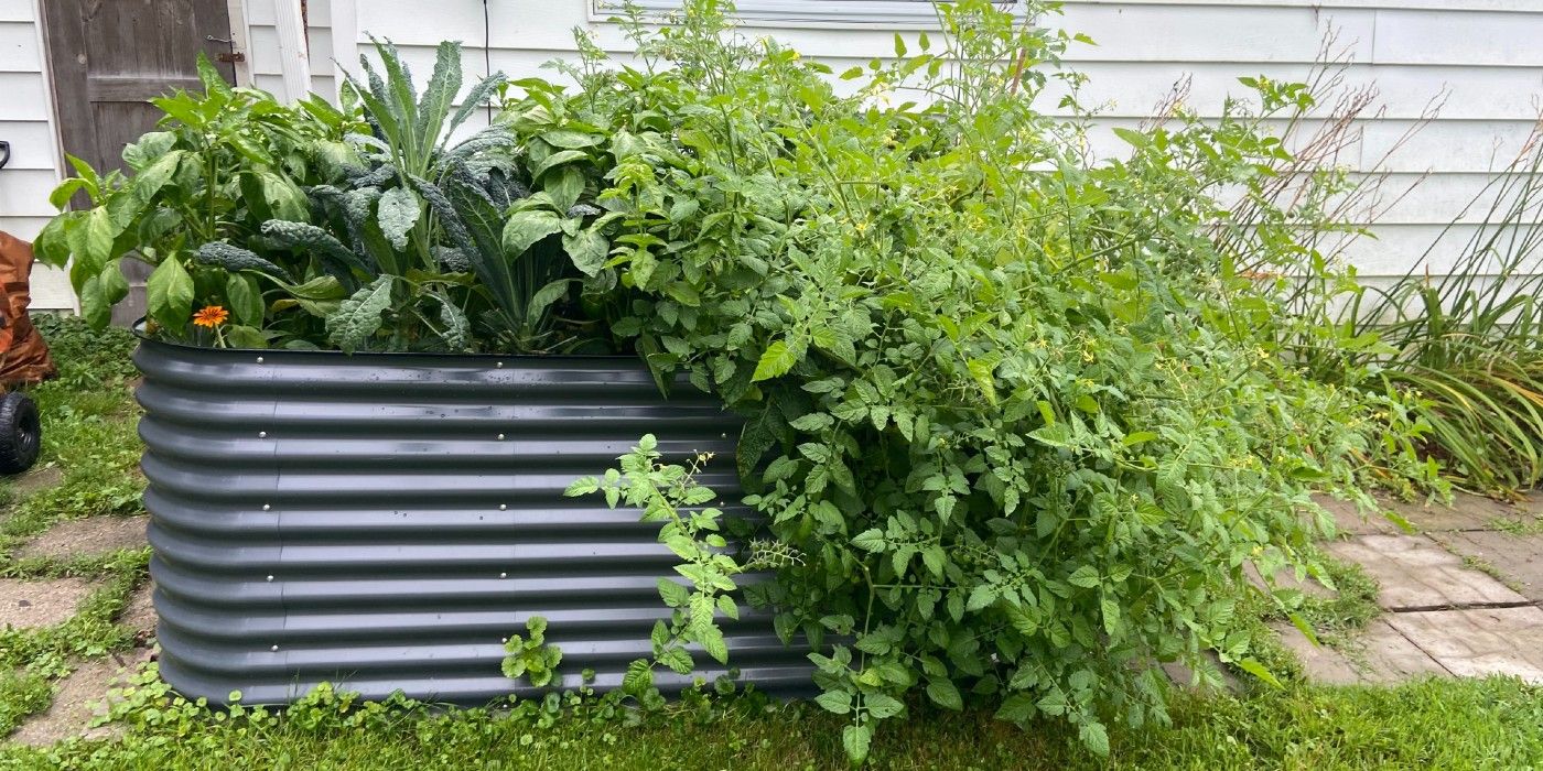 Starting Your Spring Garden Right With Vego Garden