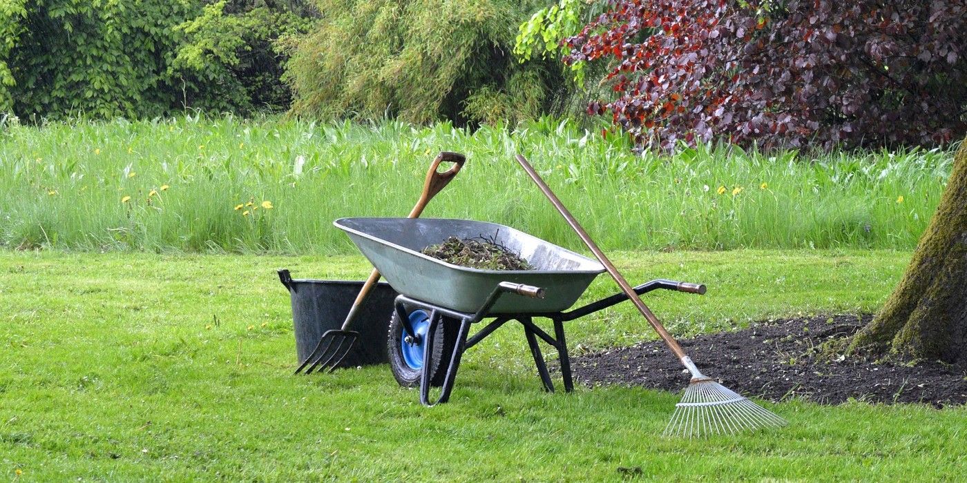 5 Key Essentials for a Thriving Spring Garden