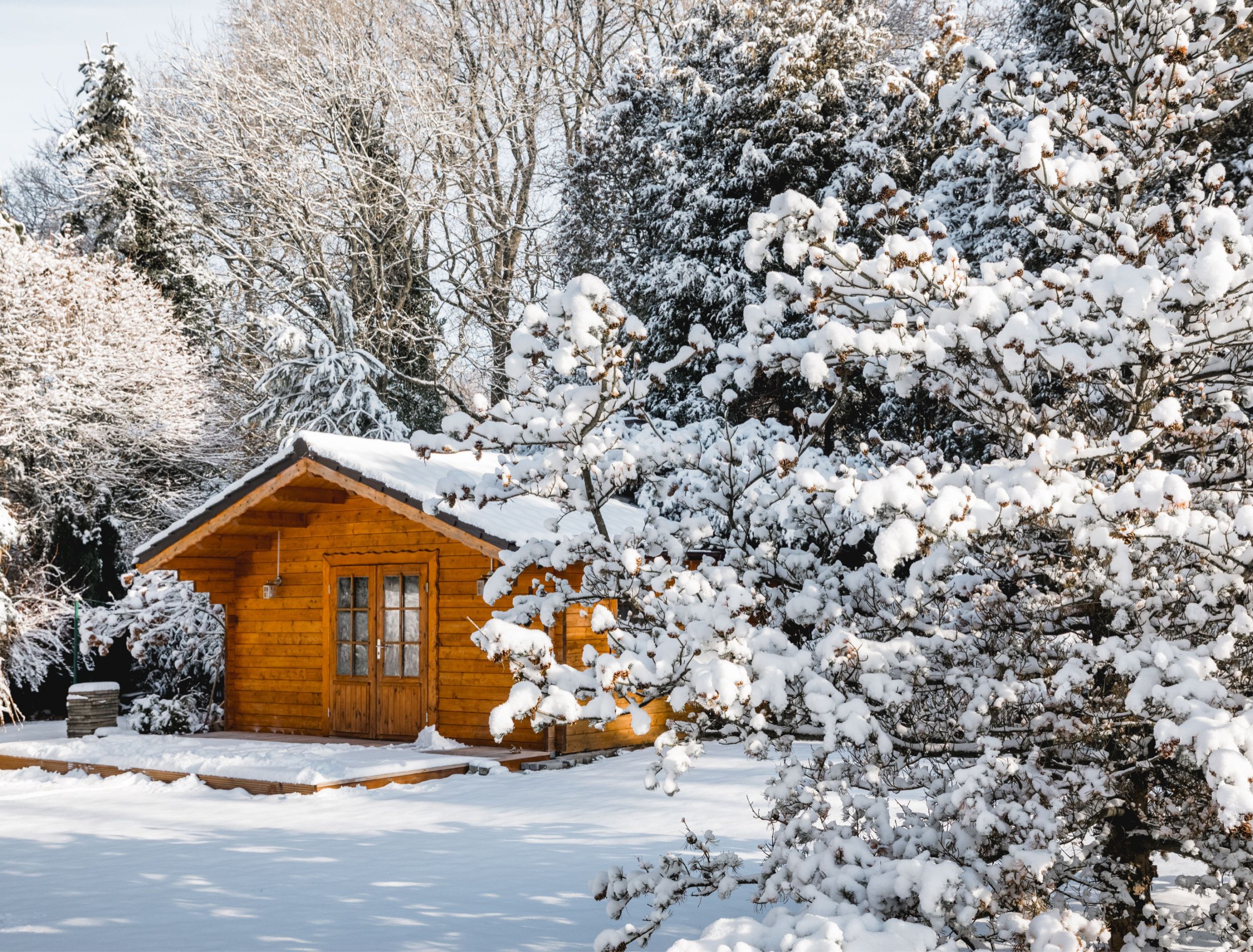 Seven Winter Landscaping Ideas Focusing on Sustainability