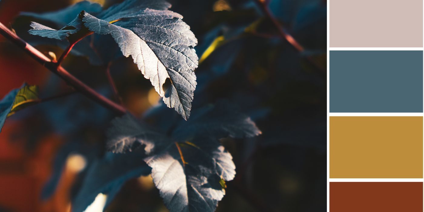 How to Use Color Theory in Your Garden Design