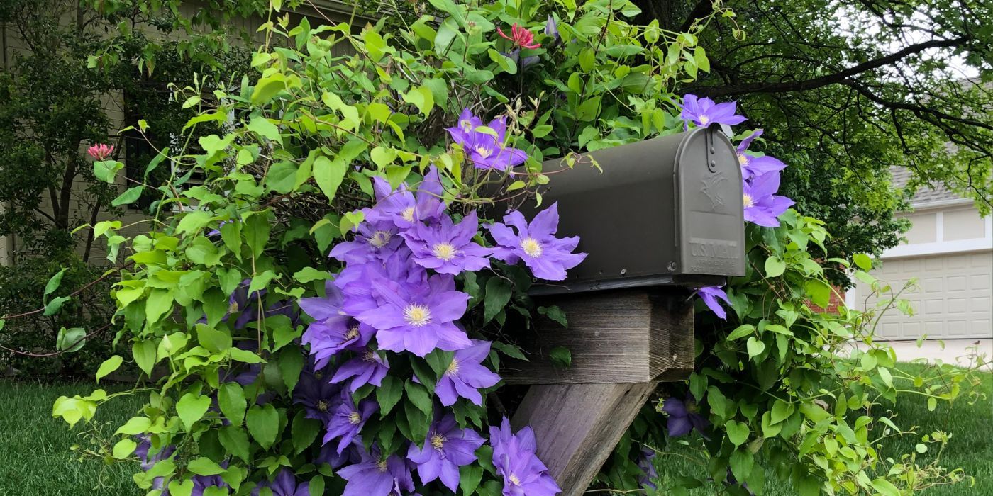 Get Creative and Design a Cute DIY Mailbox