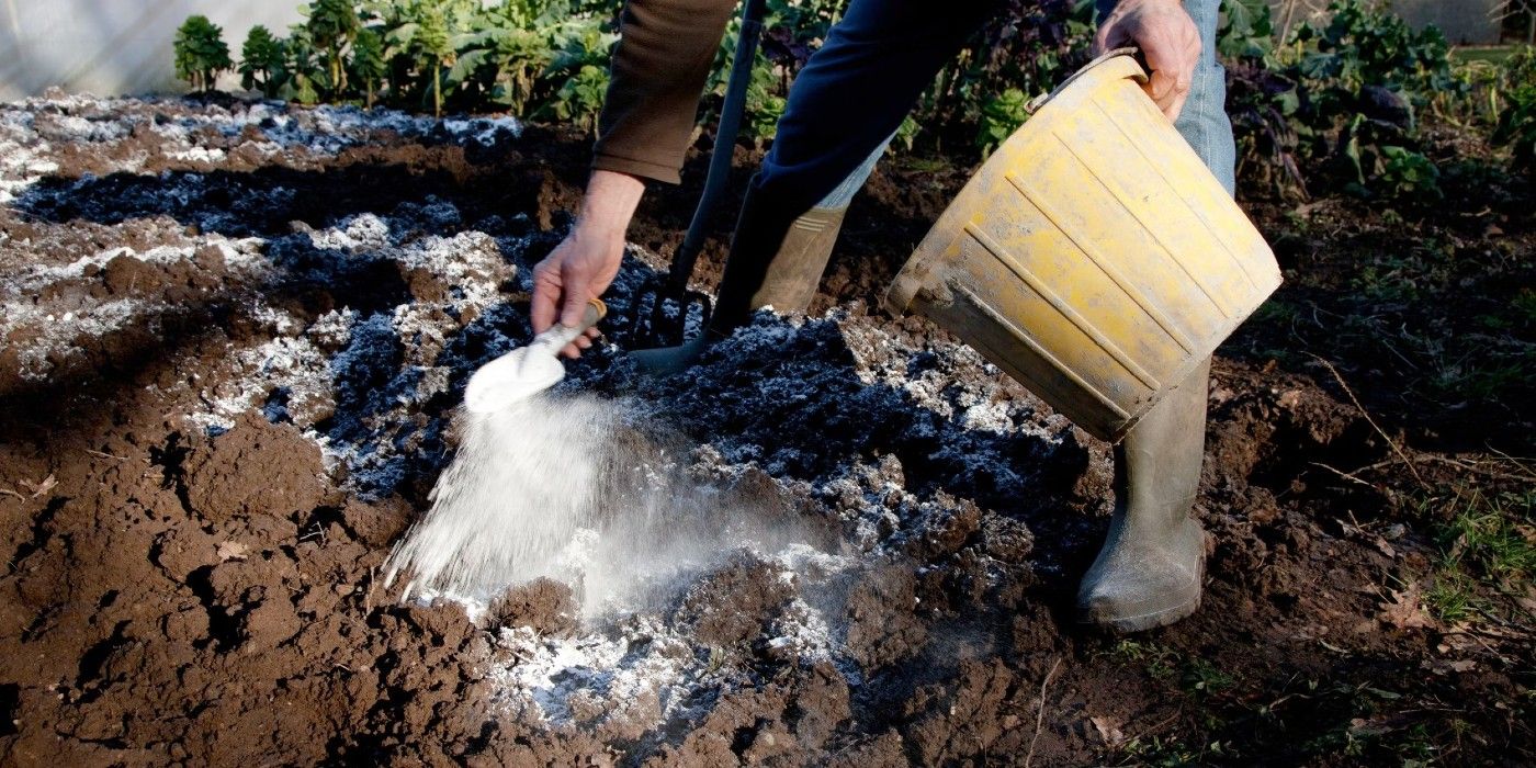 Essential Steps to Break Up Compacted Soil