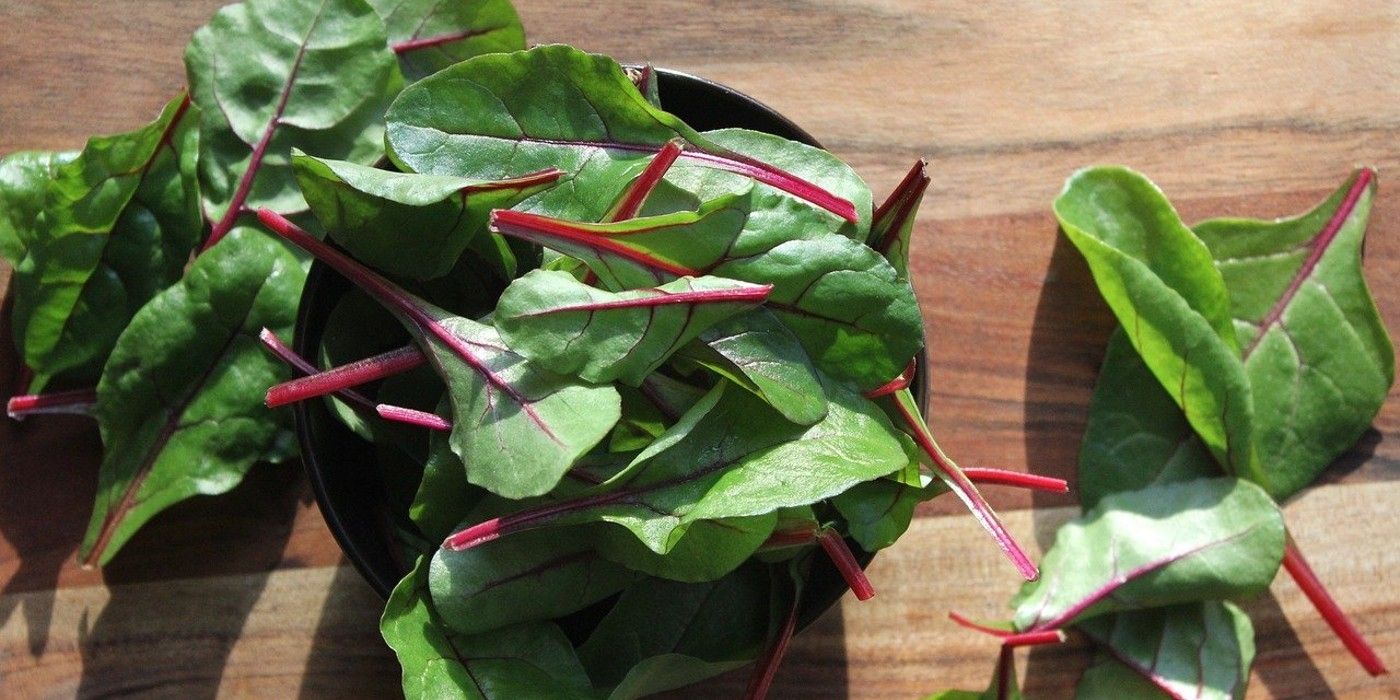 5 of the Best Beet Recipes to Try at Home