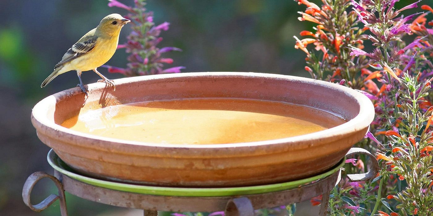 Explore Ideas For Beautiful Spring Garden Designs