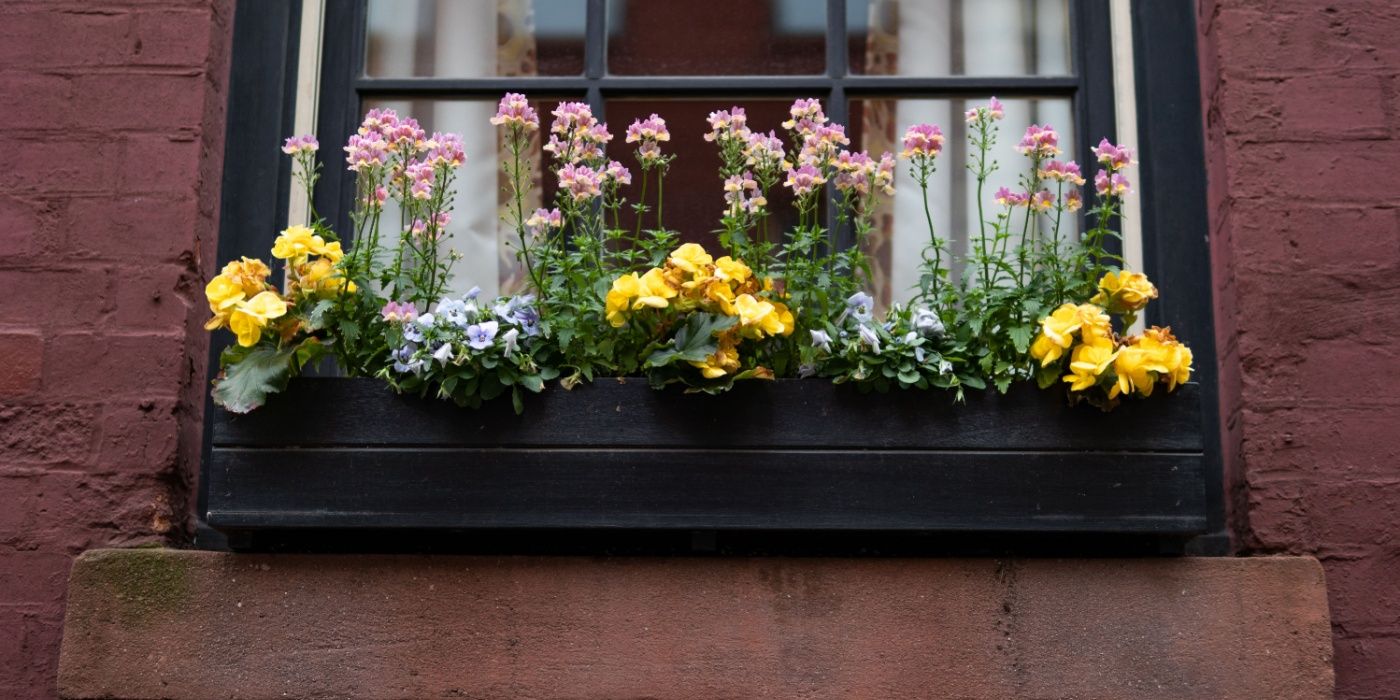How to Build a Window Garden