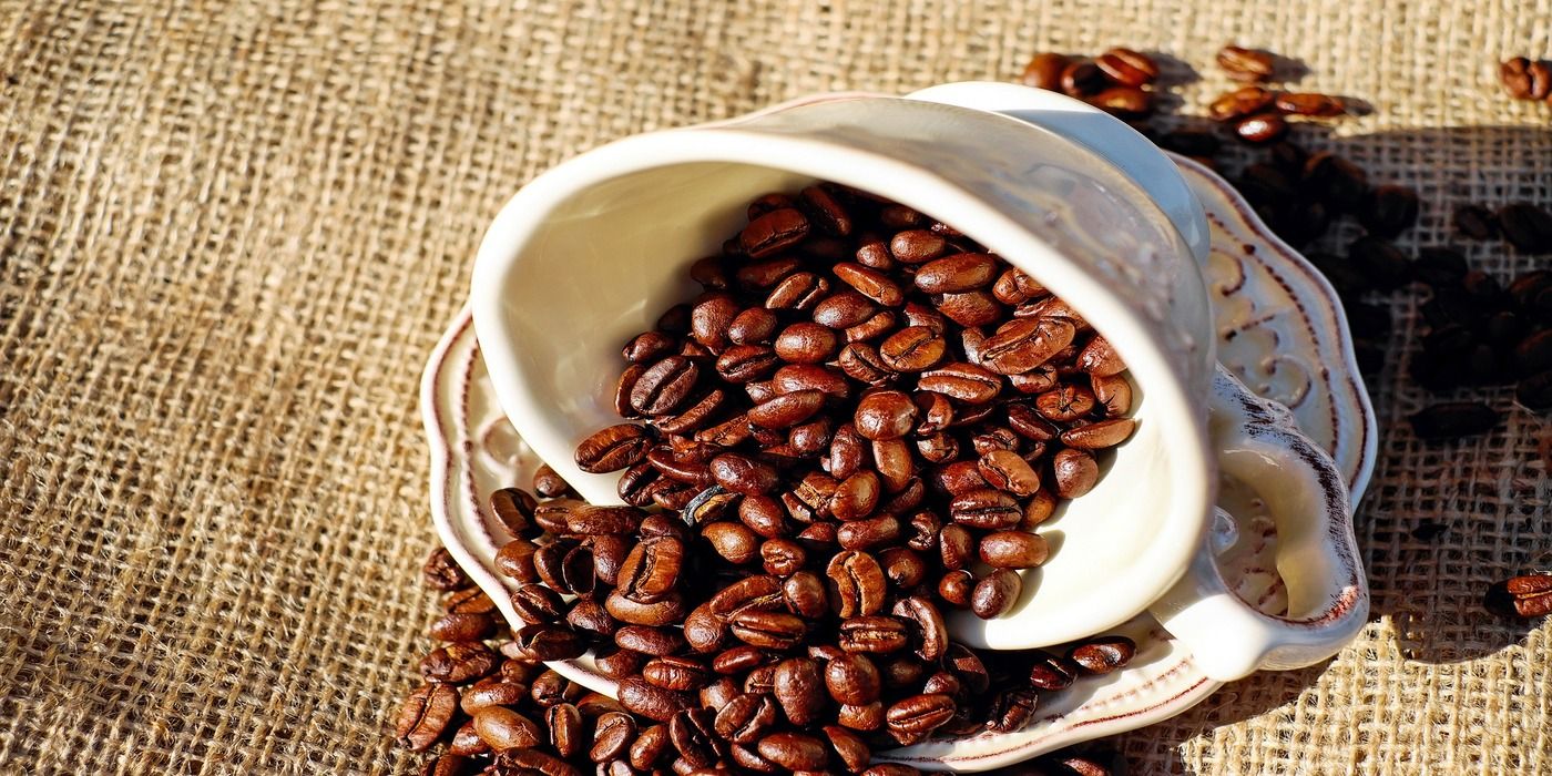 Exploring Coffee Bean Varieties: From Arabica to Liberica