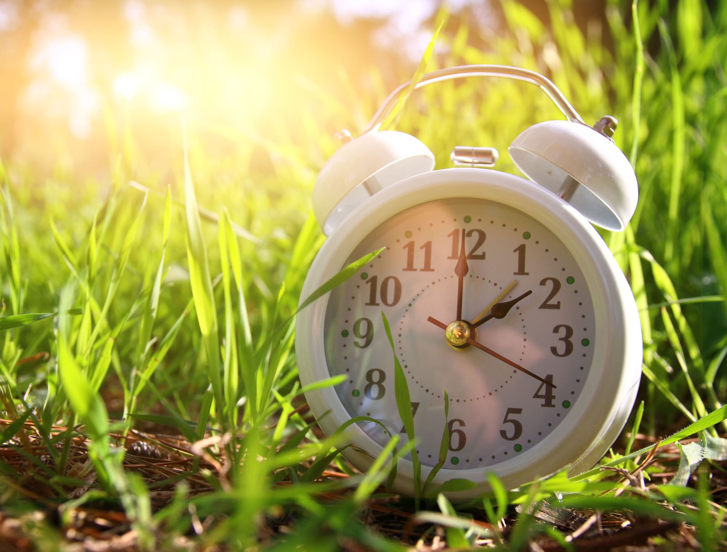 Daylight Savings Time: The Time Change's Impact on Farmers