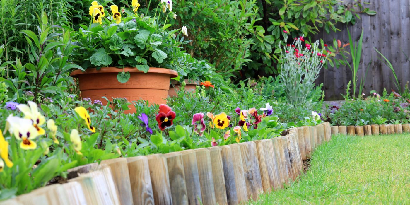 6 Wallet-Friendly Garden Edging Ideas for Spring Exploration