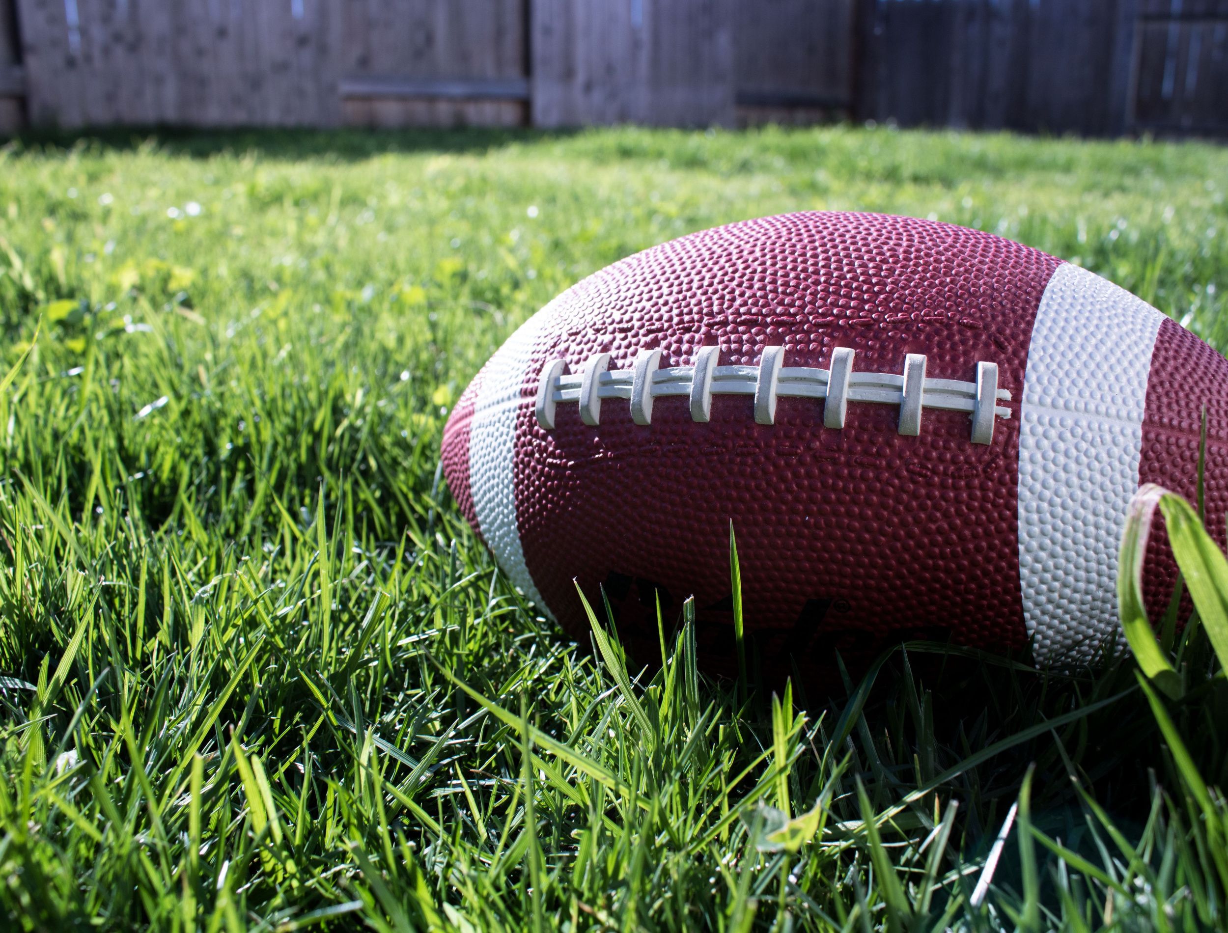 Bringing the Super Bowl Home: Cultivating Championship-Quality Lawn Grass