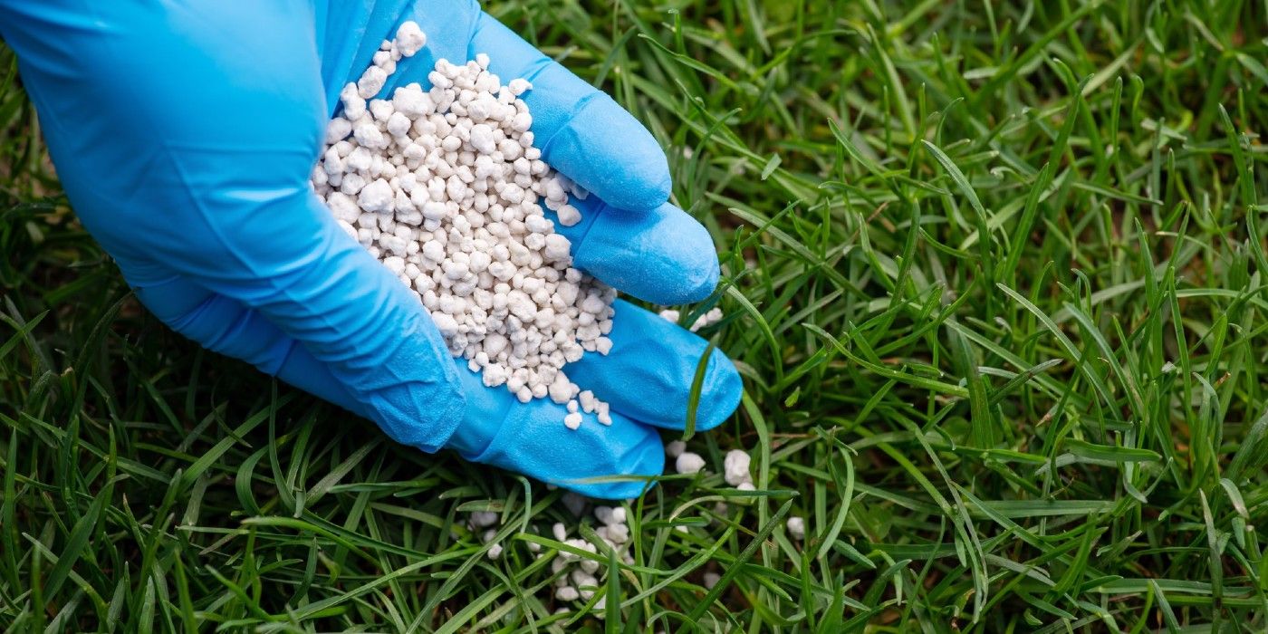 March Lawn Care Essentials: The 8 Vital Minerals Your Grass Requires