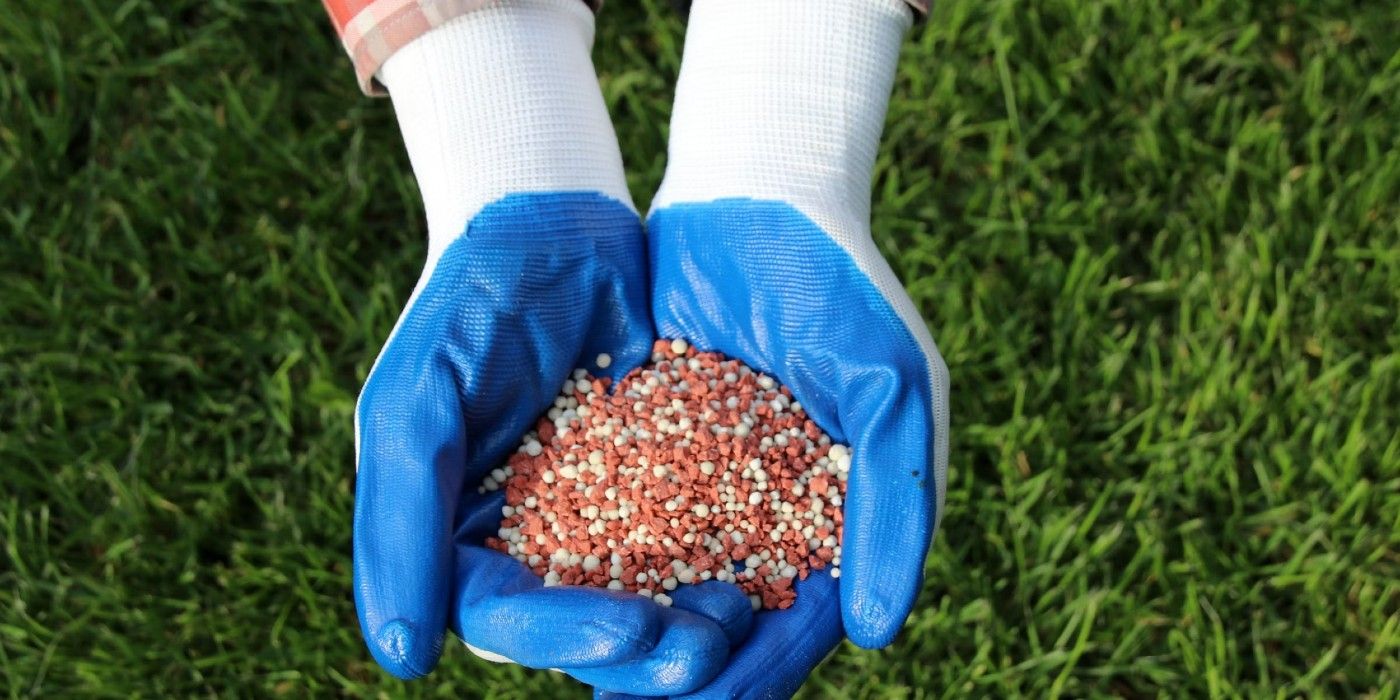 March Lawn Care Essentials: The 8 Vital Minerals Your Grass Requires