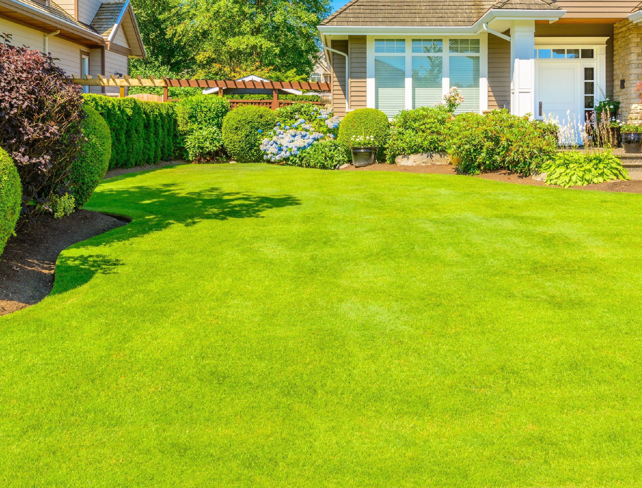 The Green Investment: Understanding the Value of Your Lawn