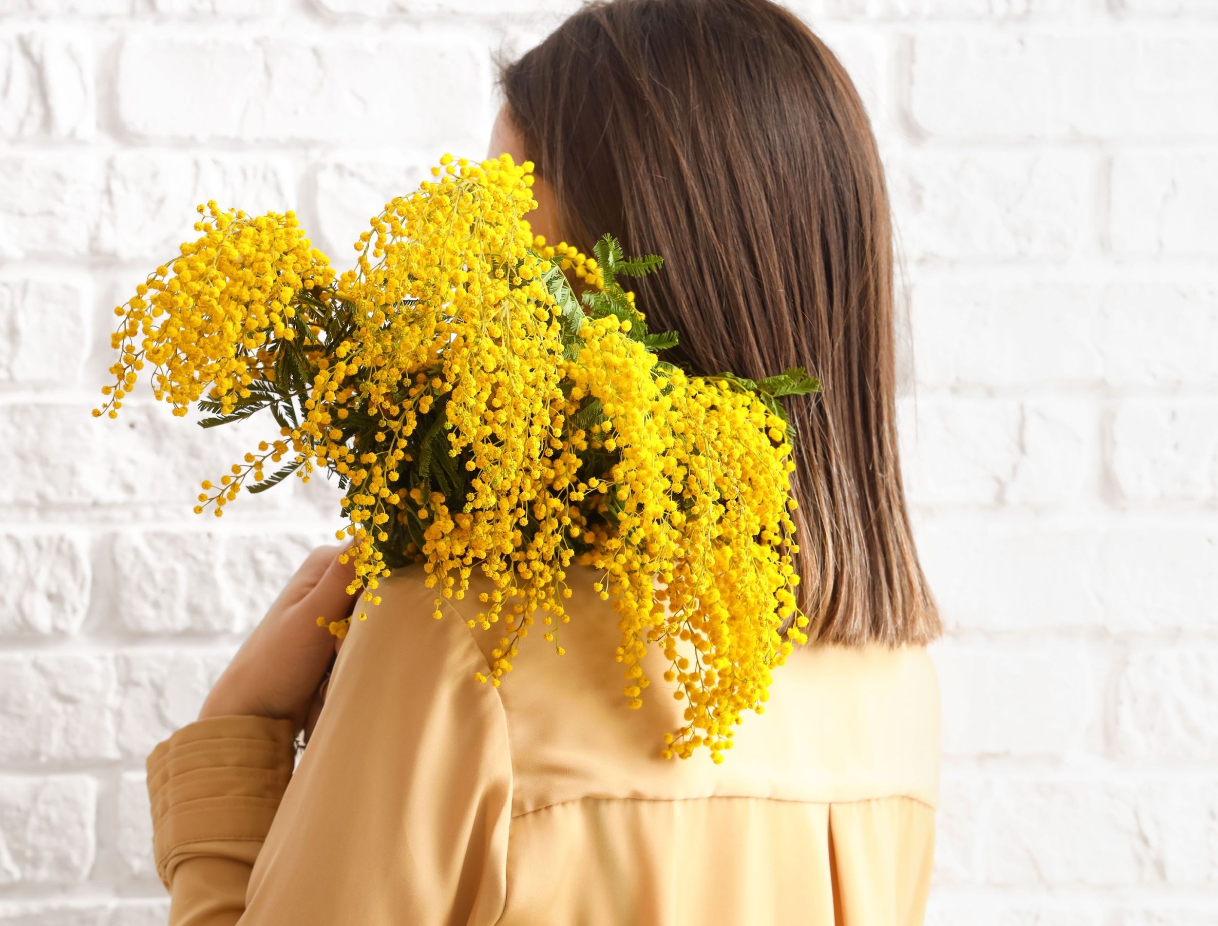 Petals of Empowerment: The Enduring Legacy of Mimosa on International ...