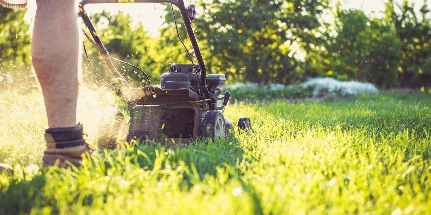 Get Your Garden Ready for Spring Flowers: March Clean Up Tips