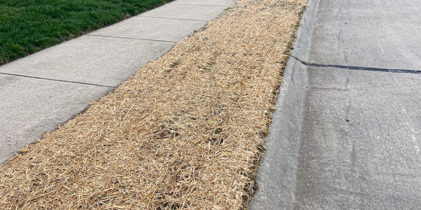 Spring Lawn Seeding: Unlock the Key to a Solid Lawn Care Routine