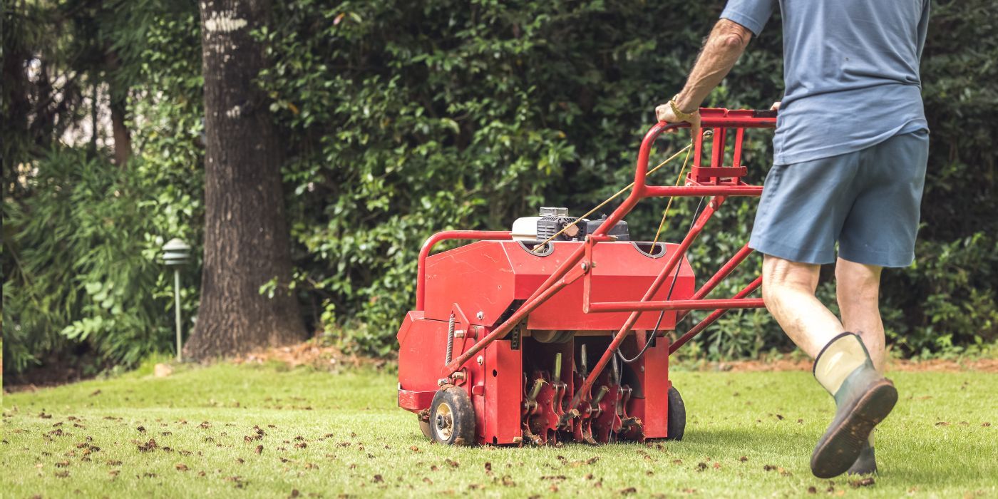 March Lawn Maintenance Checklist: 7 Projects to Tackle Now