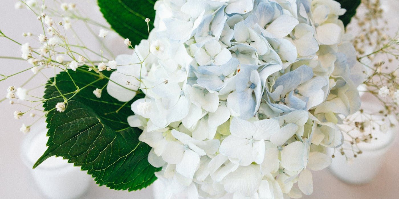 The Floral Magic of Love Is Blind Weddings