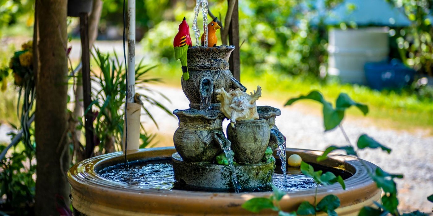 A Renters' Guide to Temporary Landscaping