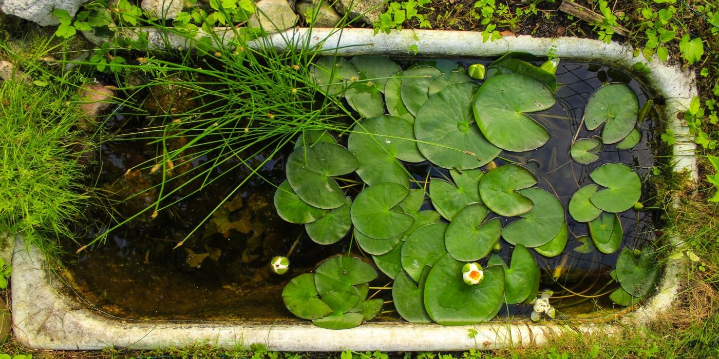 Budget-Friendly Water Features to Elevate Your Garden This Spring