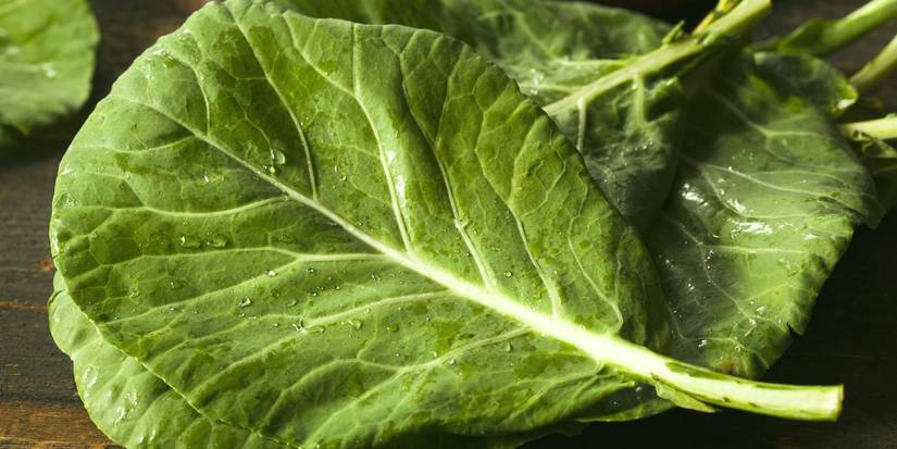 3 Essential Steps for Harvesting Collard Greens