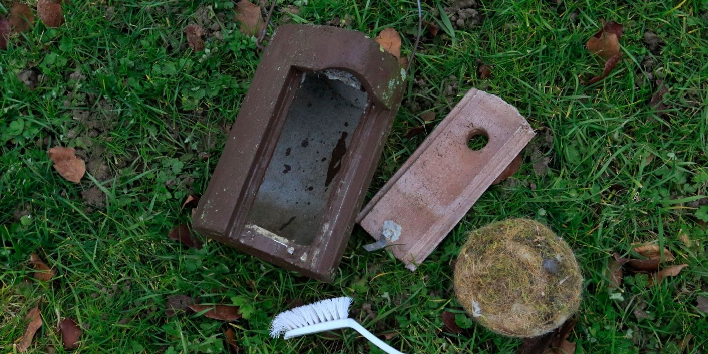 March Maintenance: A Guide to Cleaning Out Your Bird Houses