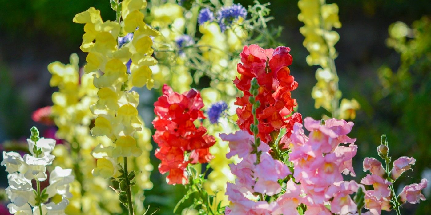 The Floral Magic of Love Is Blind Weddings