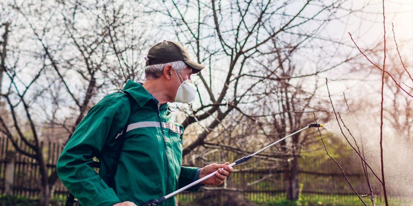 Dormant Oil as a Pest Control for Tree Bugs