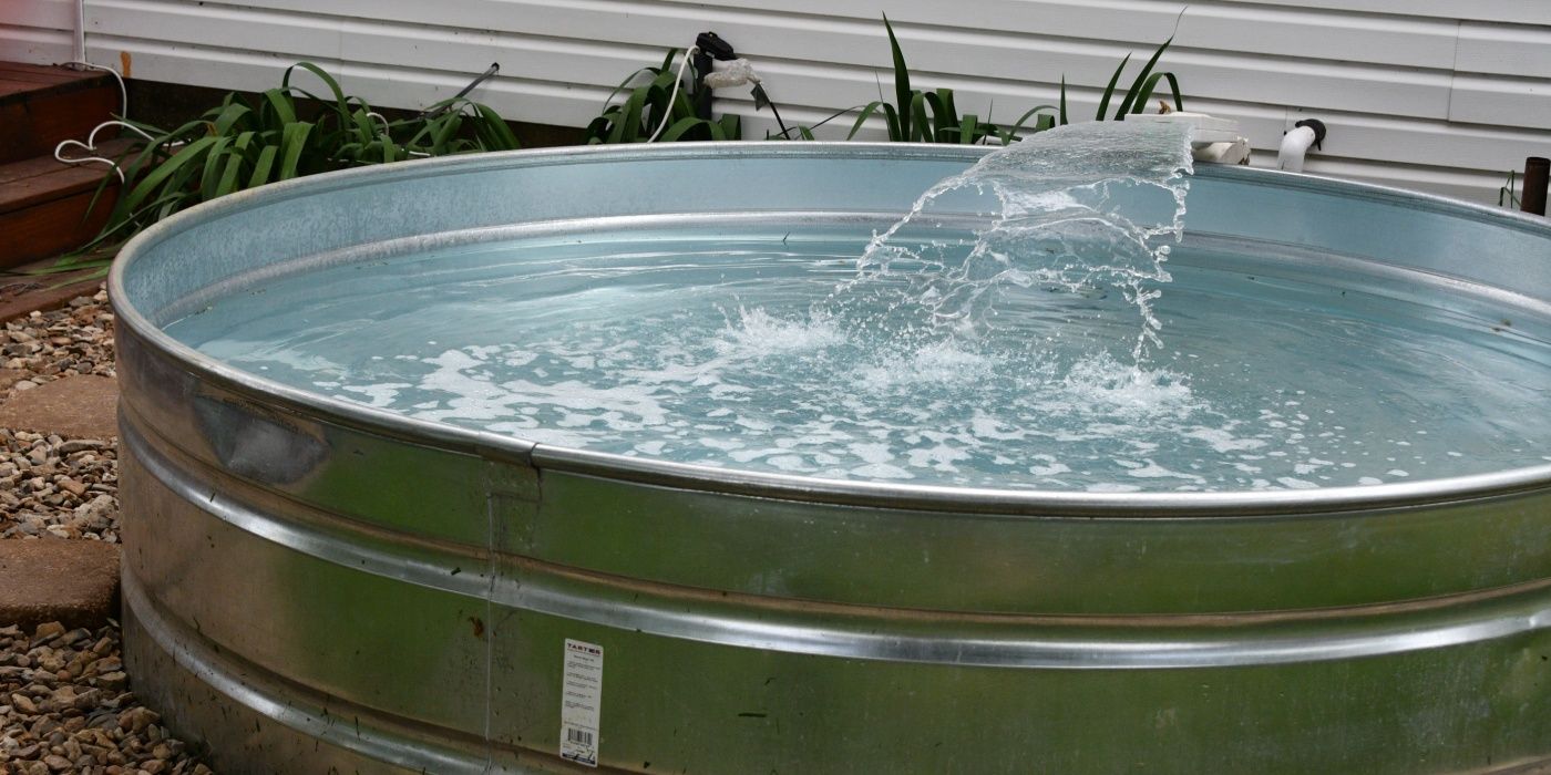 Budget-Friendly Water Features to Elevate Your Garden This Spring