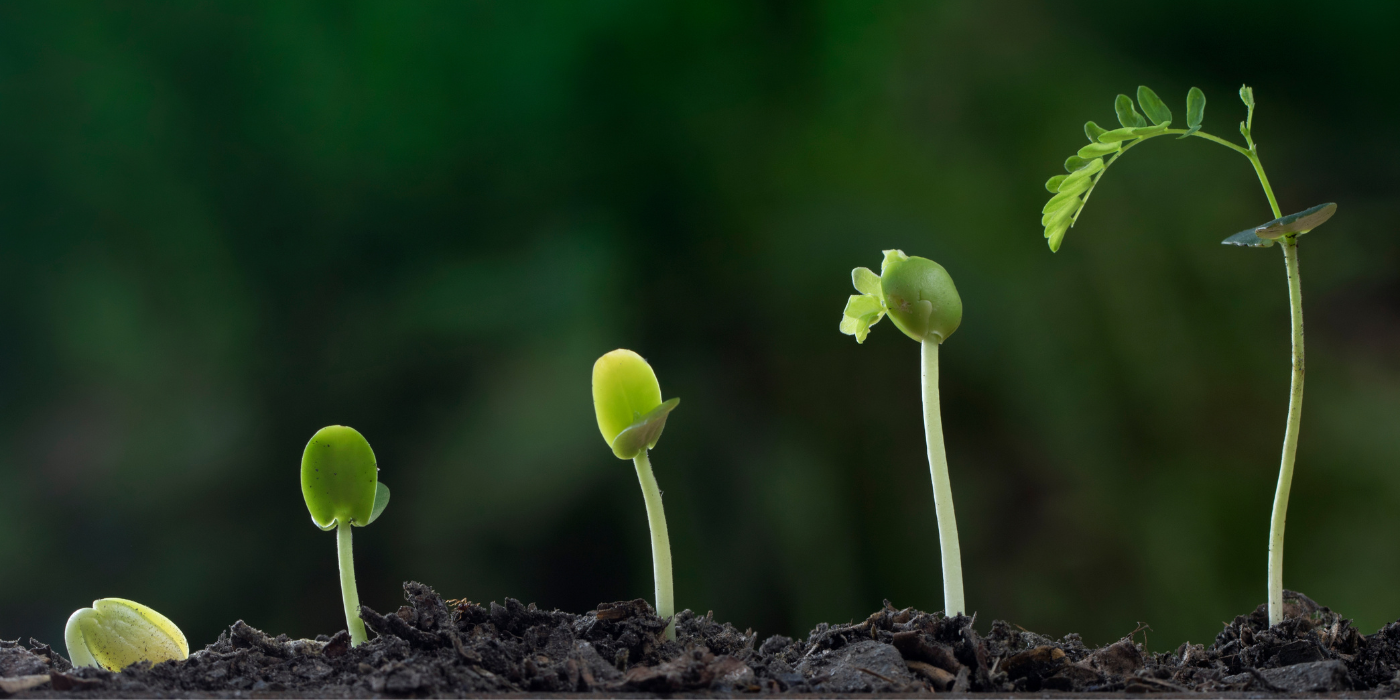How to Set up a Garden Planner in March