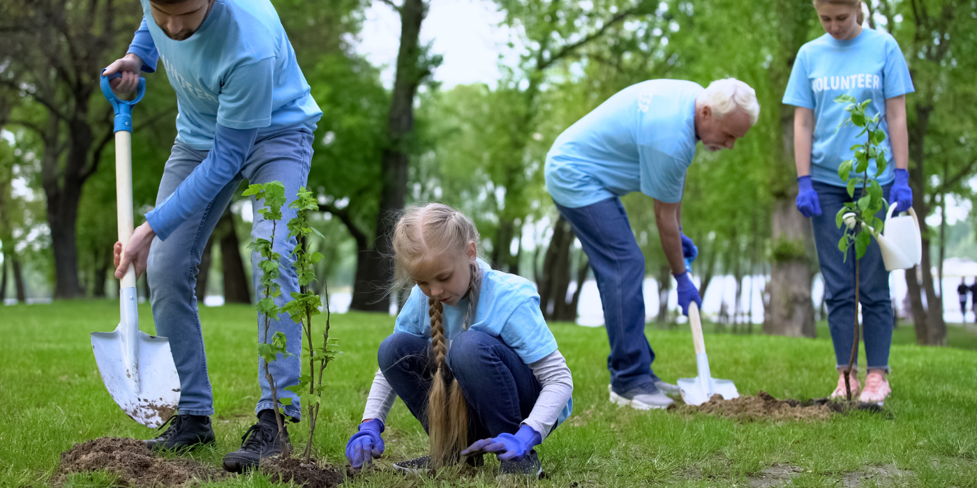 Plant a Tiny Forest to Boost Air Quality