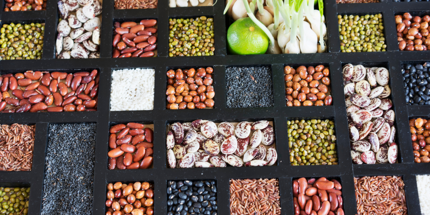 Spring Craft Ideas: 7 Cute Crafts for the Family