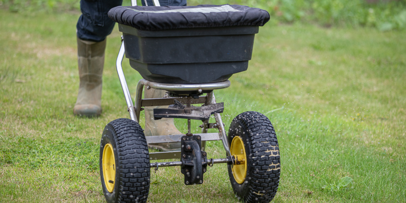 Spring Lawn Seeding: Unlock the Key to a Solid Lawn Care Routine