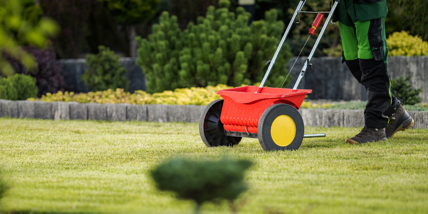 Spring Lawn Seeding: Unlock the Key to a Solid Lawn Care Routine
