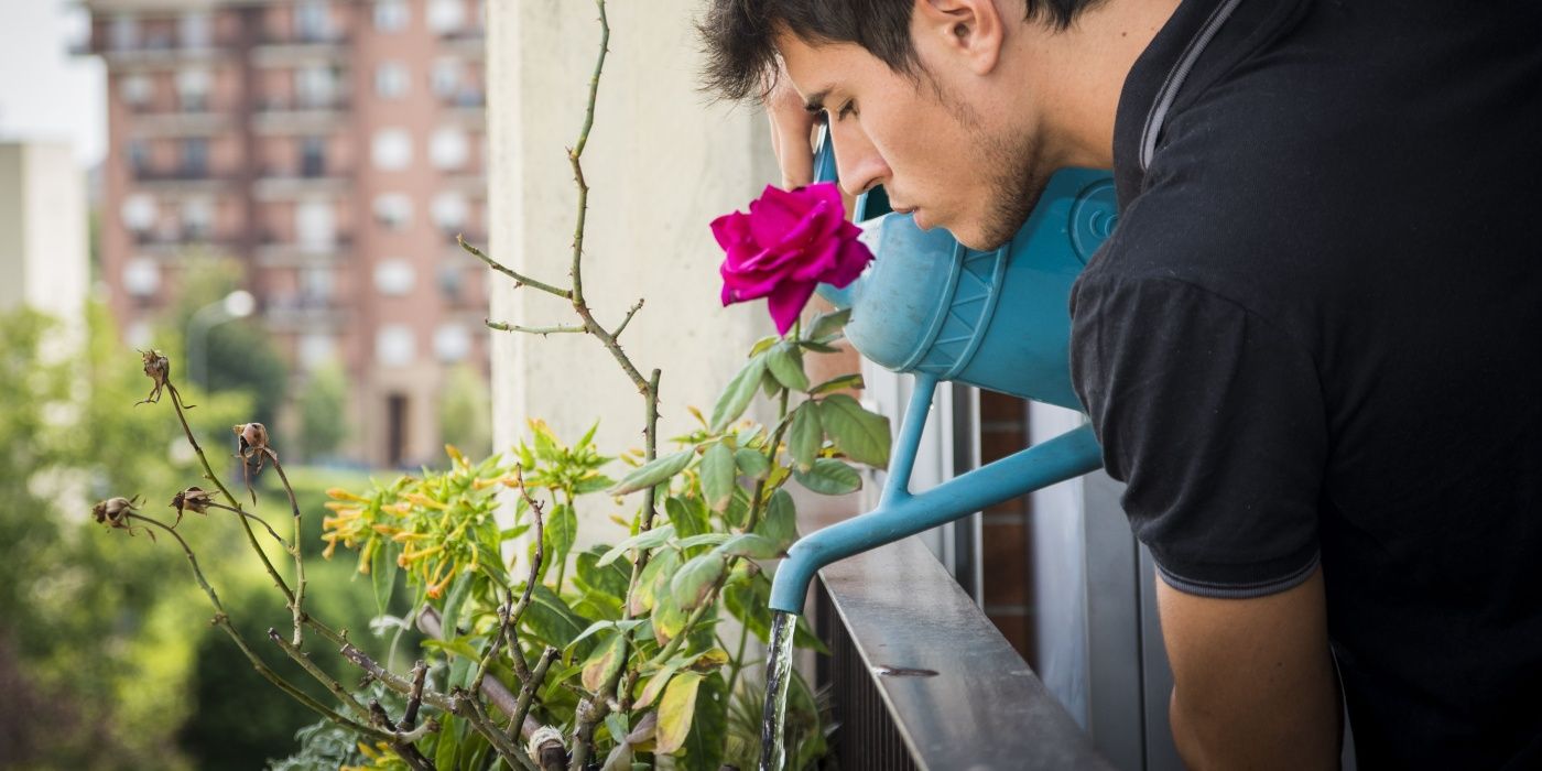 How to Build a Window Garden