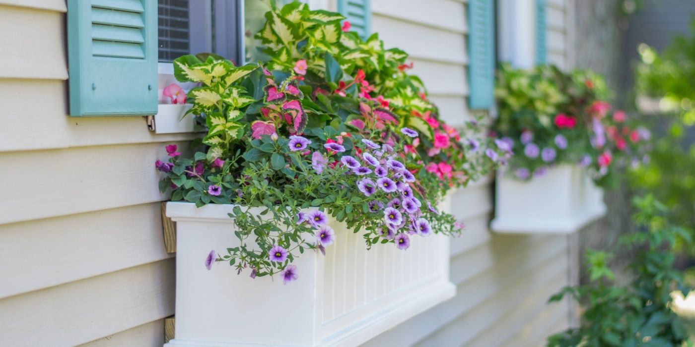 How to Build a Window Garden