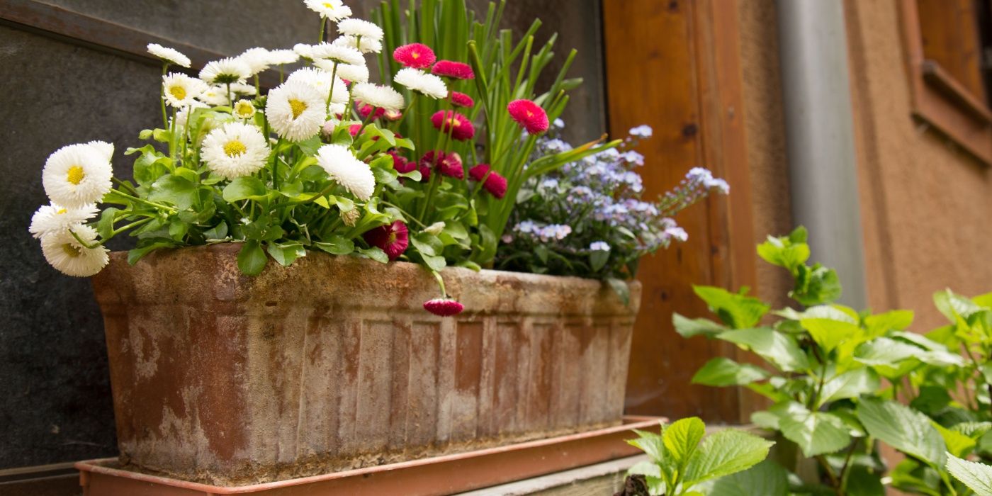 How to Build a Window Garden