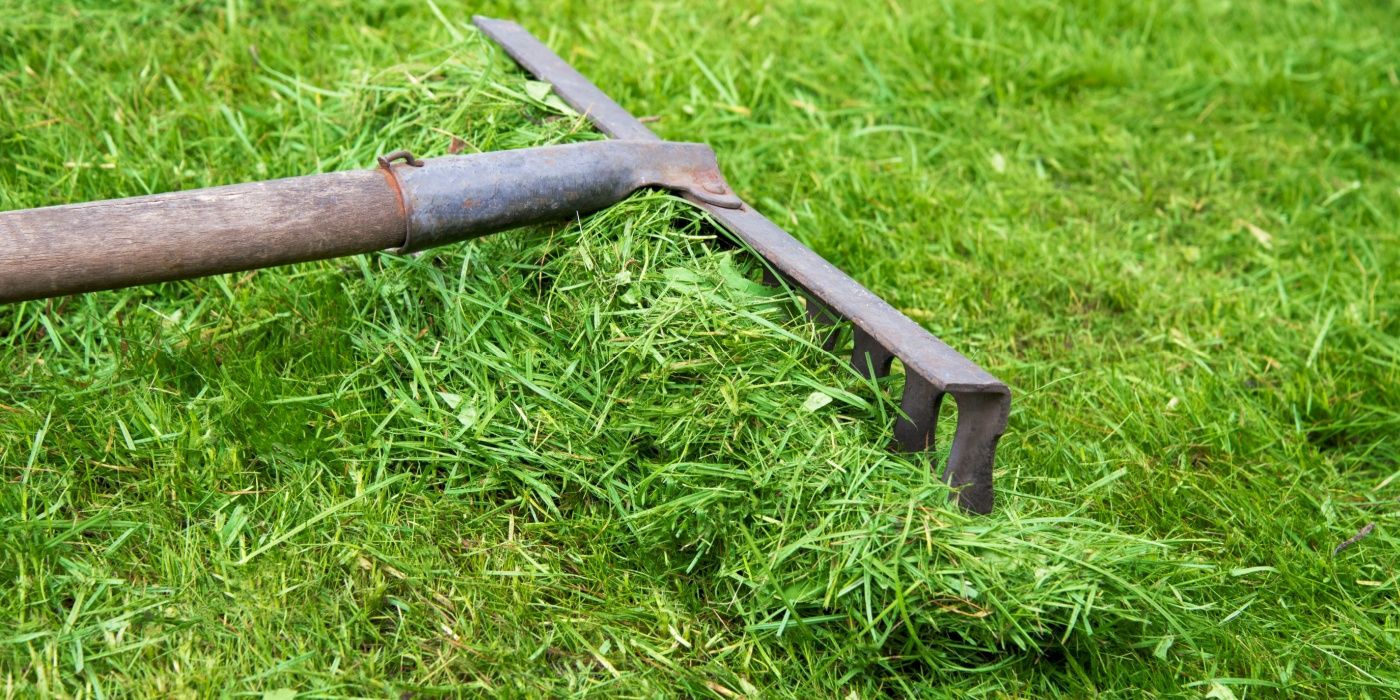 Creative Ways to Handle Grass Clippings