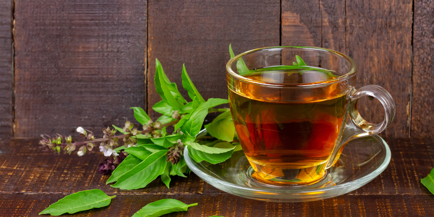 Herbal Tea: 6 of the Best Herbs To Grow in Your Tea Garden